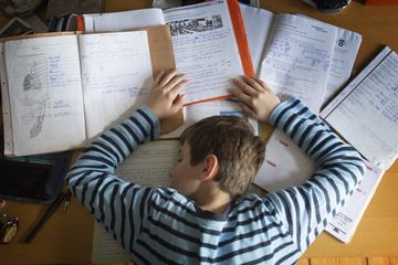 Tumpukan Tugas Sekolah Picu Anak Minim Kreativitas